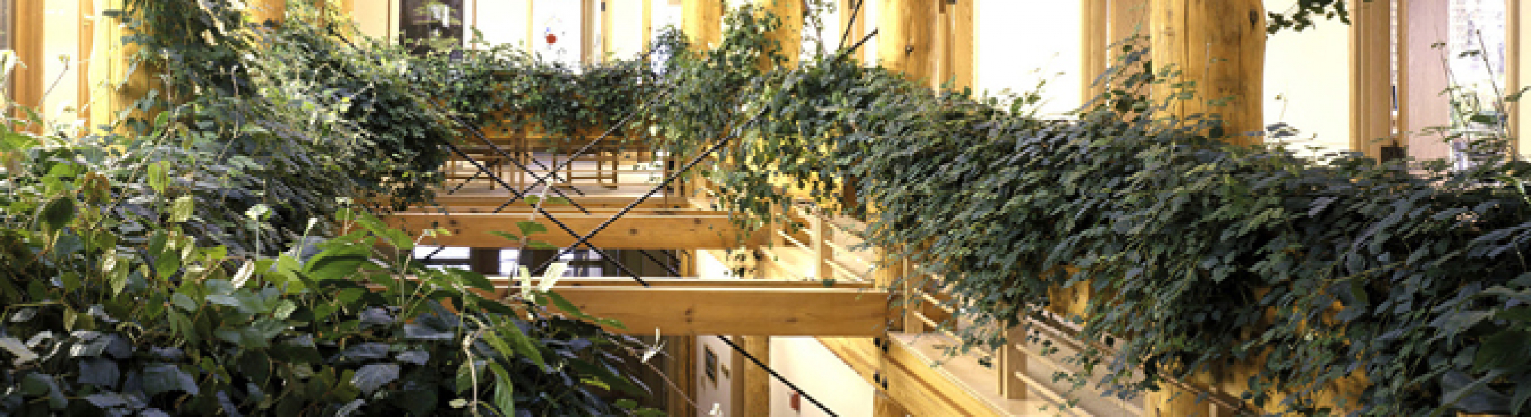 01 atrium & plants - Banwell Architects